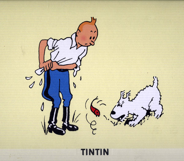 Tintin And Snowy Comics